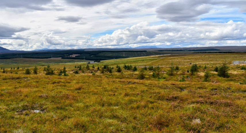 Can tax support climate and land reform goals? Our findings so far. - News - News & Events ...